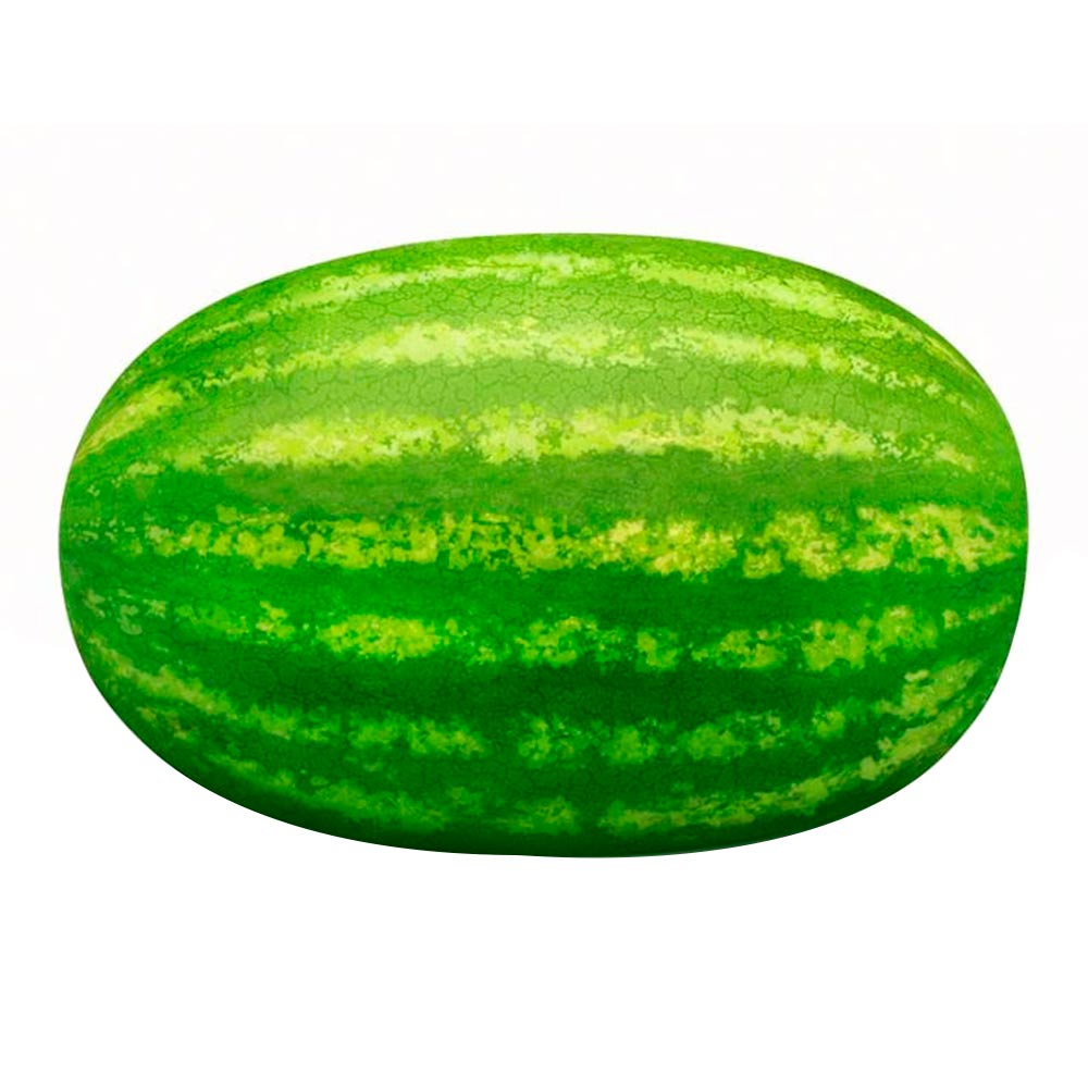 Patilla Común x 40000 g - Jumbo Colombia