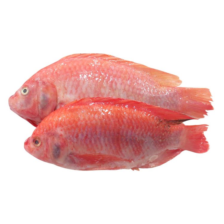 Mojarra roja x 500 g - Jumbo Colombia